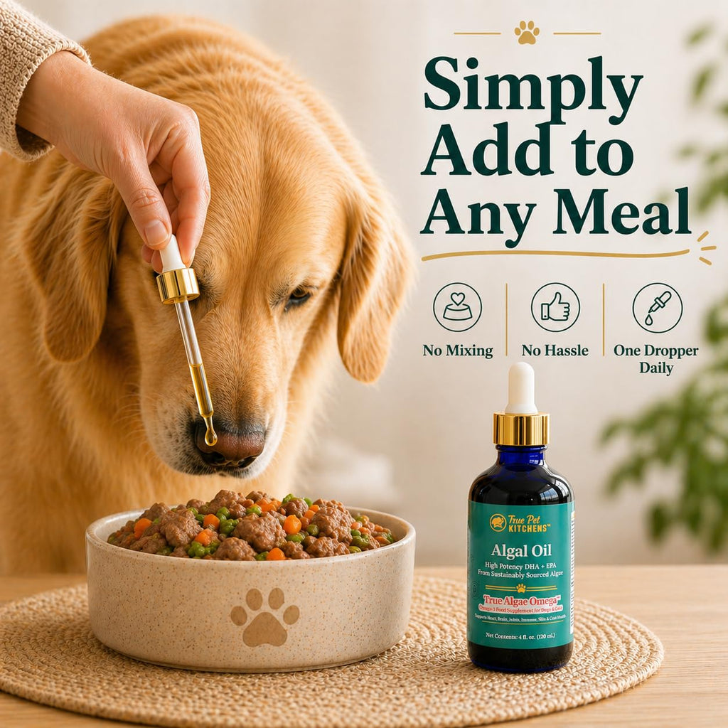 sustainable algae oil for pets