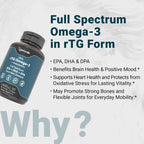 sustainable algae omega 3 option