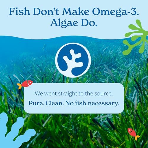 sustainable algae omega 3 source