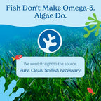 sustainable algae omega 3 source