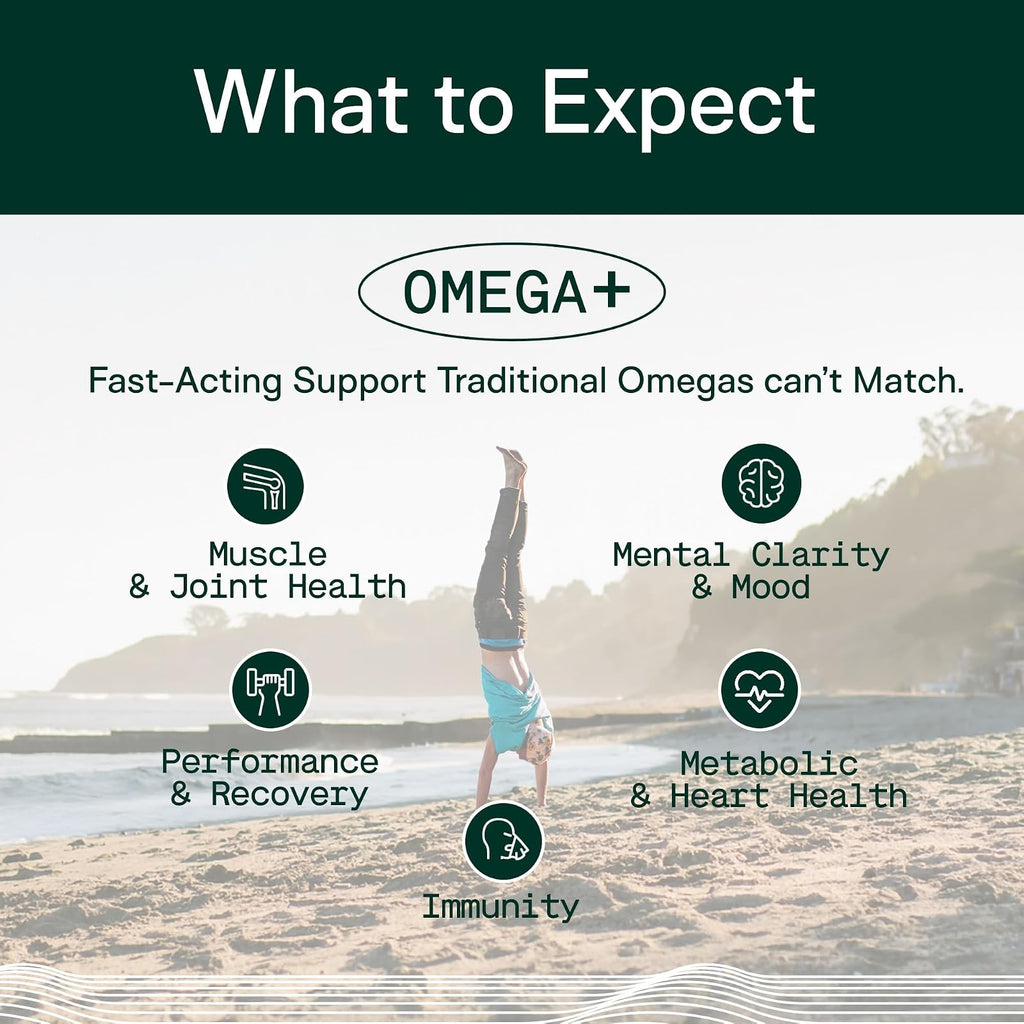 sustainable algae omega 3 source