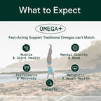 sustainable algae omega 3 source