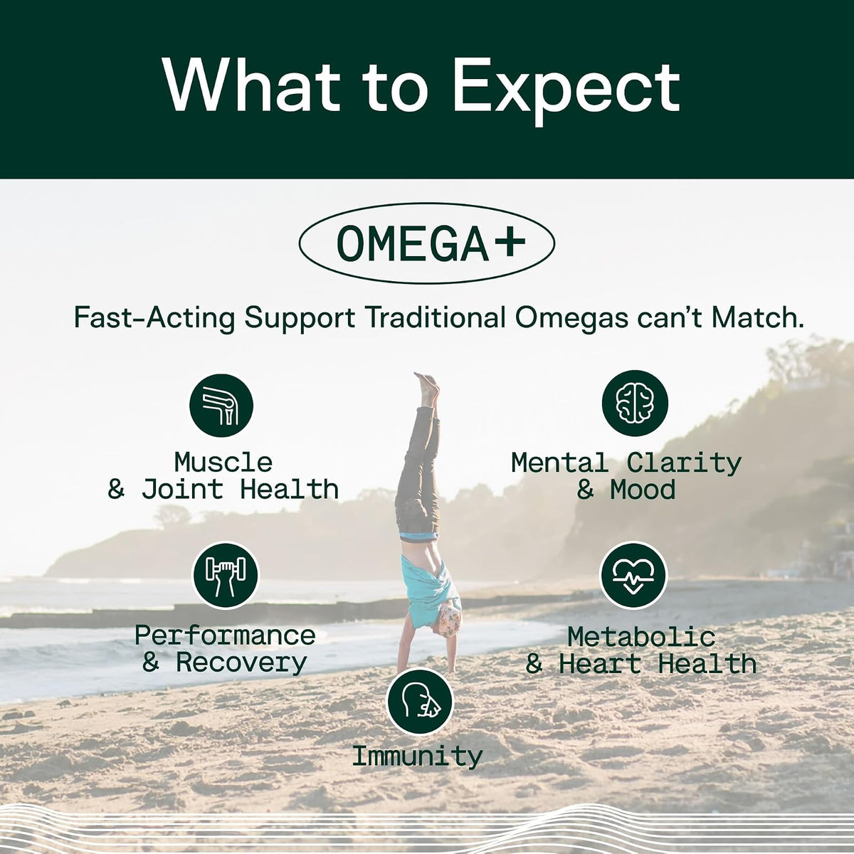 sustainable algae omega 3 source