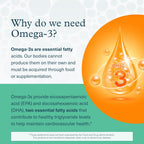 sustainable algae omega supplement