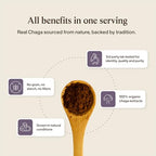 sustainable chaga extract from Canada