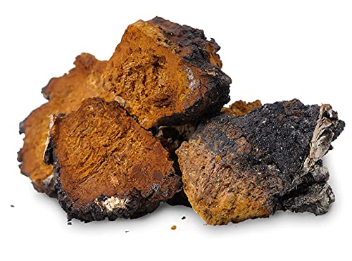 sustainable chaga mushroom sourcing