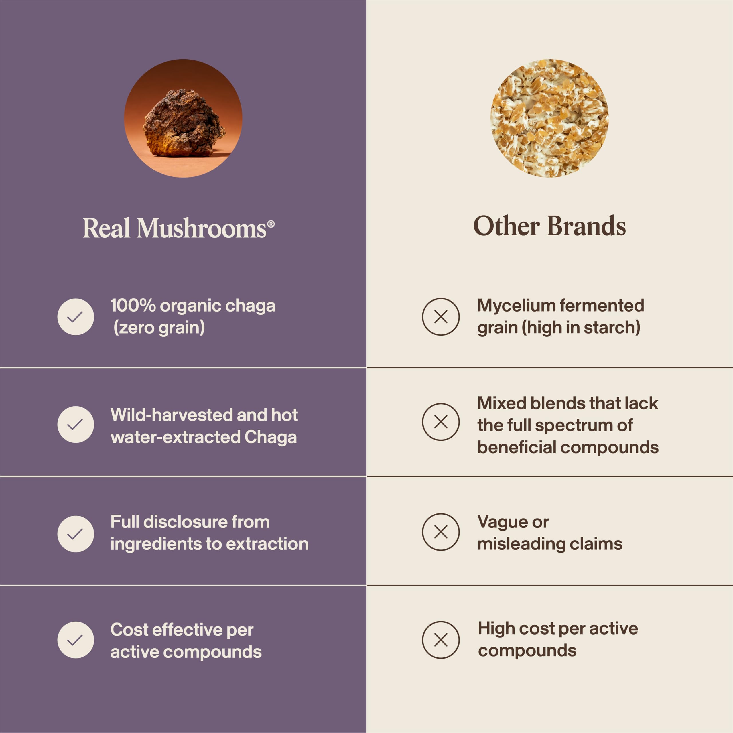 sustainable chaga mushrooms for holistic health