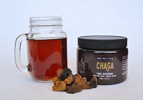 sustainable chaga mushrooms for wellness
