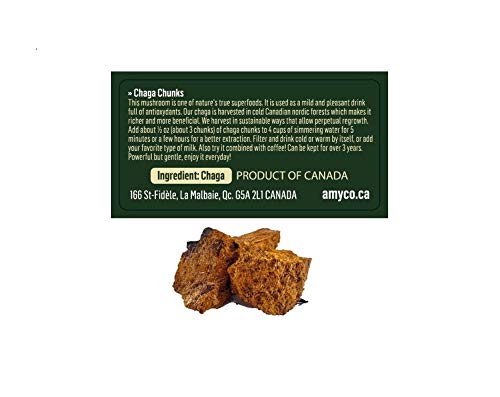 sustainable chaga sourced in Canada