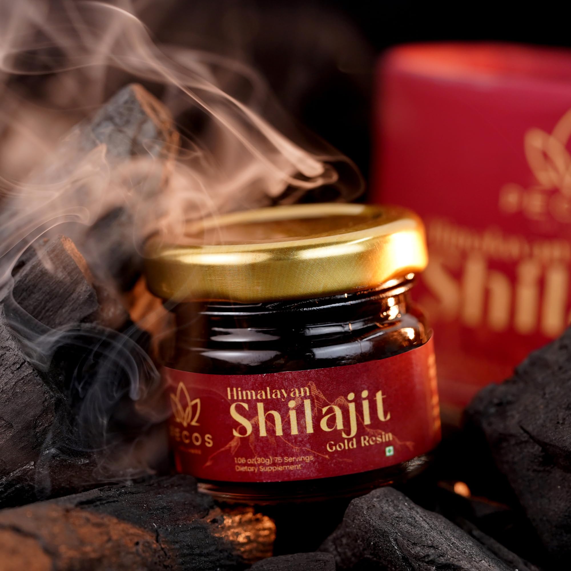 Sustainable energy from Pure Himalaya Shilajit