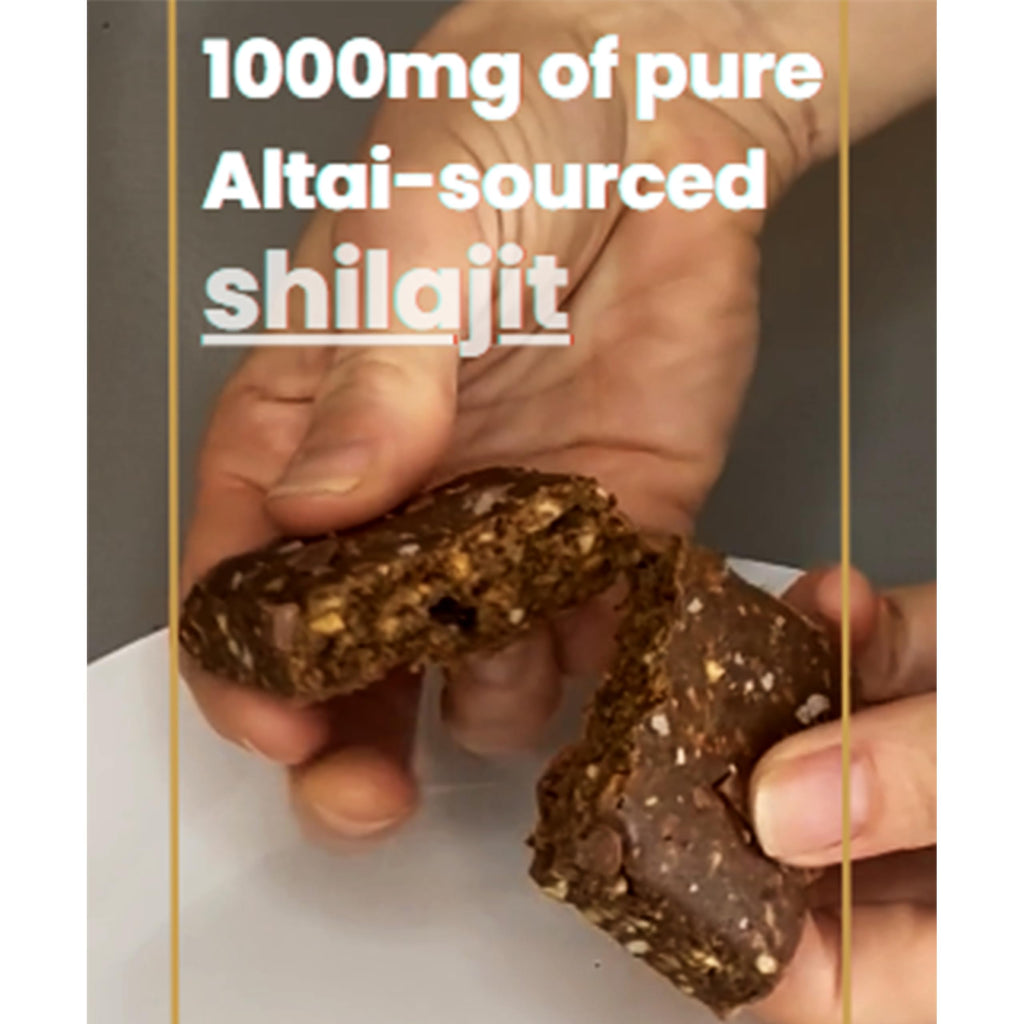 sustainable energy source shilajit snack
