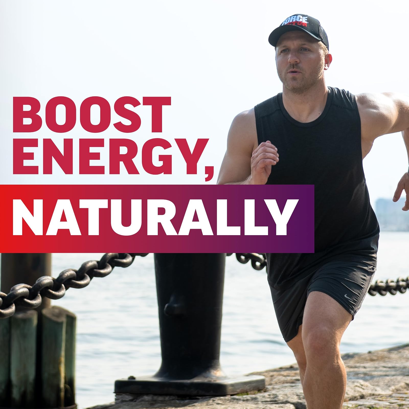 sustainable energy with beets