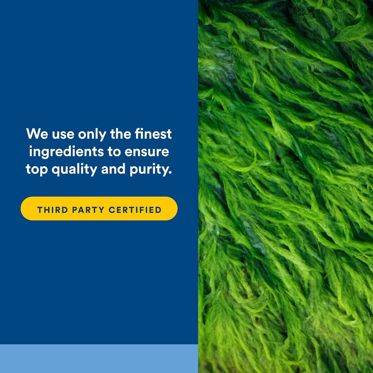 Sustainable fish oil alternative