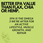 sustainable fish oil substitute