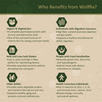 sustainable greens powders for wellness