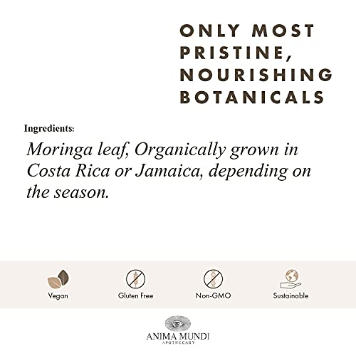 sustainable moringa from rainforest
