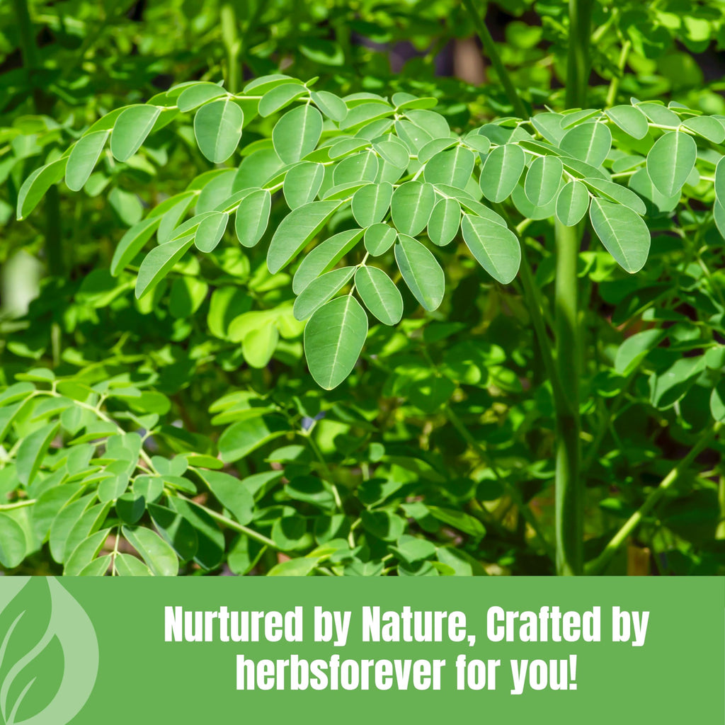 sustainable moringa supergreen food
