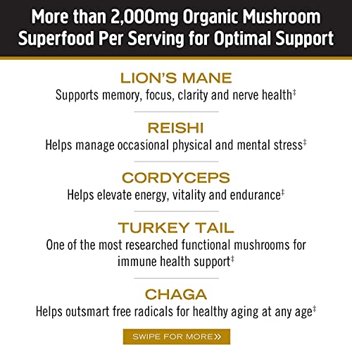 sustainable mushrooms for eco-conscious living