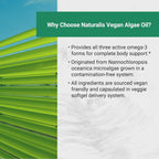 sustainable omega 3 fish oil alternative