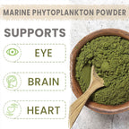 sustainable omega 3 from phytoplankton