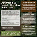 sustainable organic chaga mushroom source