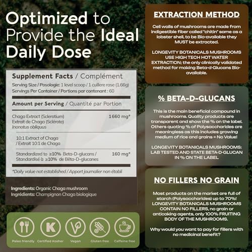 sustainable organic chaga mushroom source