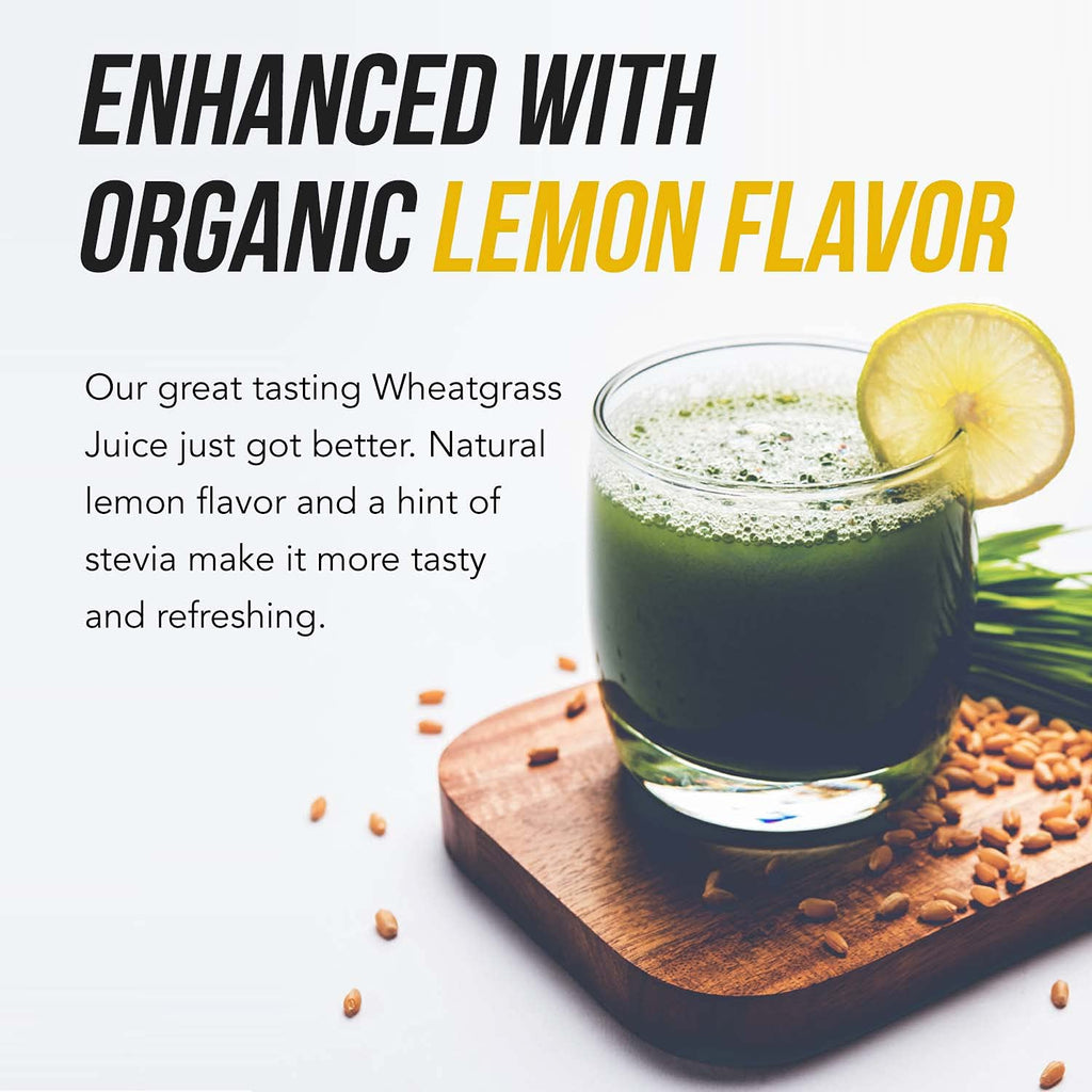 sustainable organic wheatgrass juice powder