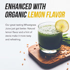 sustainable organic wheatgrass juice powder