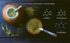 sustainable organic yerba mate tea
