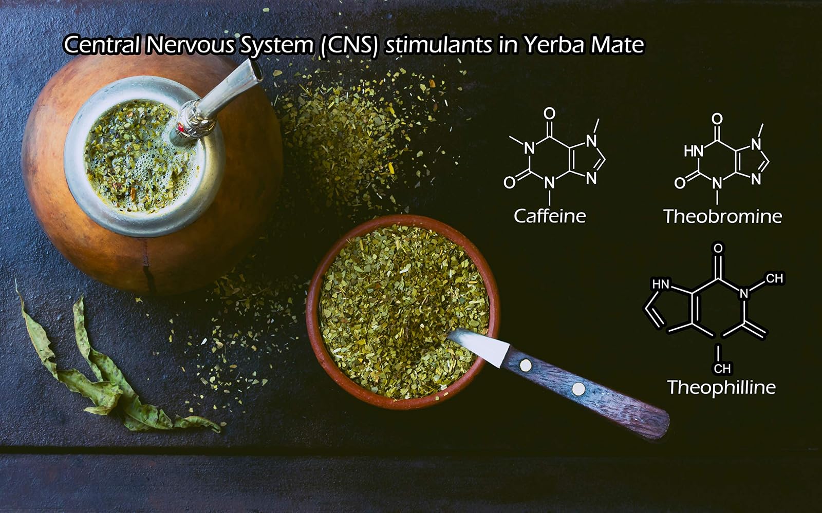 sustainable organic yerba mate tea