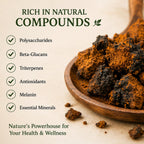 sustainable sourced chaga mushrooms