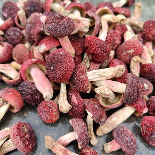 sustainable sourced dried mushrooms
