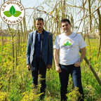 sustainable sourced moringa powder