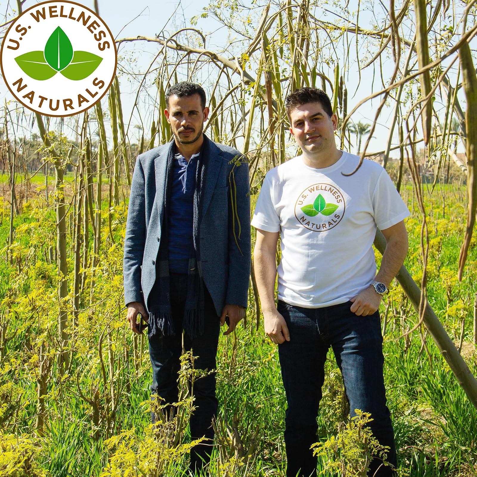 sustainable sourced moringa powder