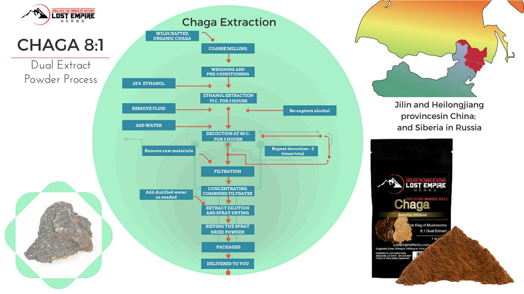 sustainable sourced organic chaga mushrooms