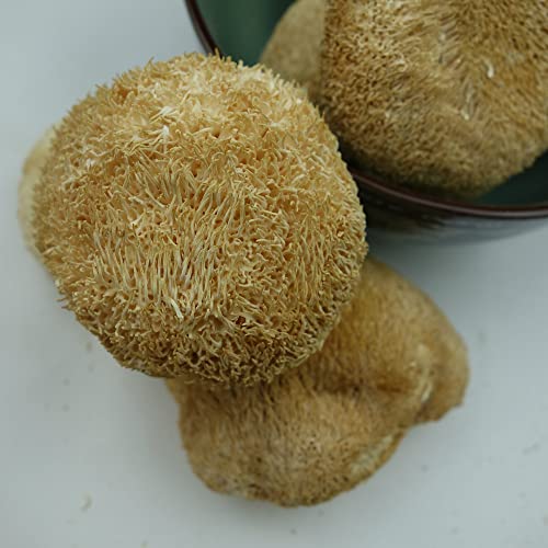 sustainable sourced organic mushrooms