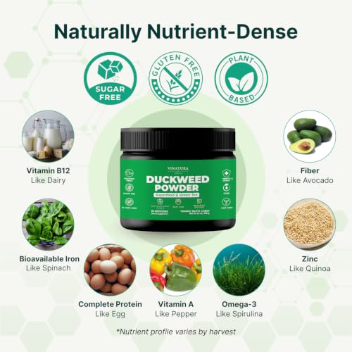 sustainable superfood duckweed powder