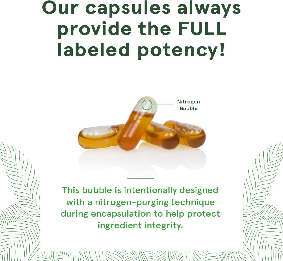 sustainable vegan fish oil supplement