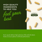 Swanson B-50 immune system booster