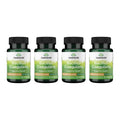 Swanson Bacillus Coagulans probiotics for women