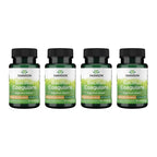 Swanson Bacillus Coagulans probiotics for women