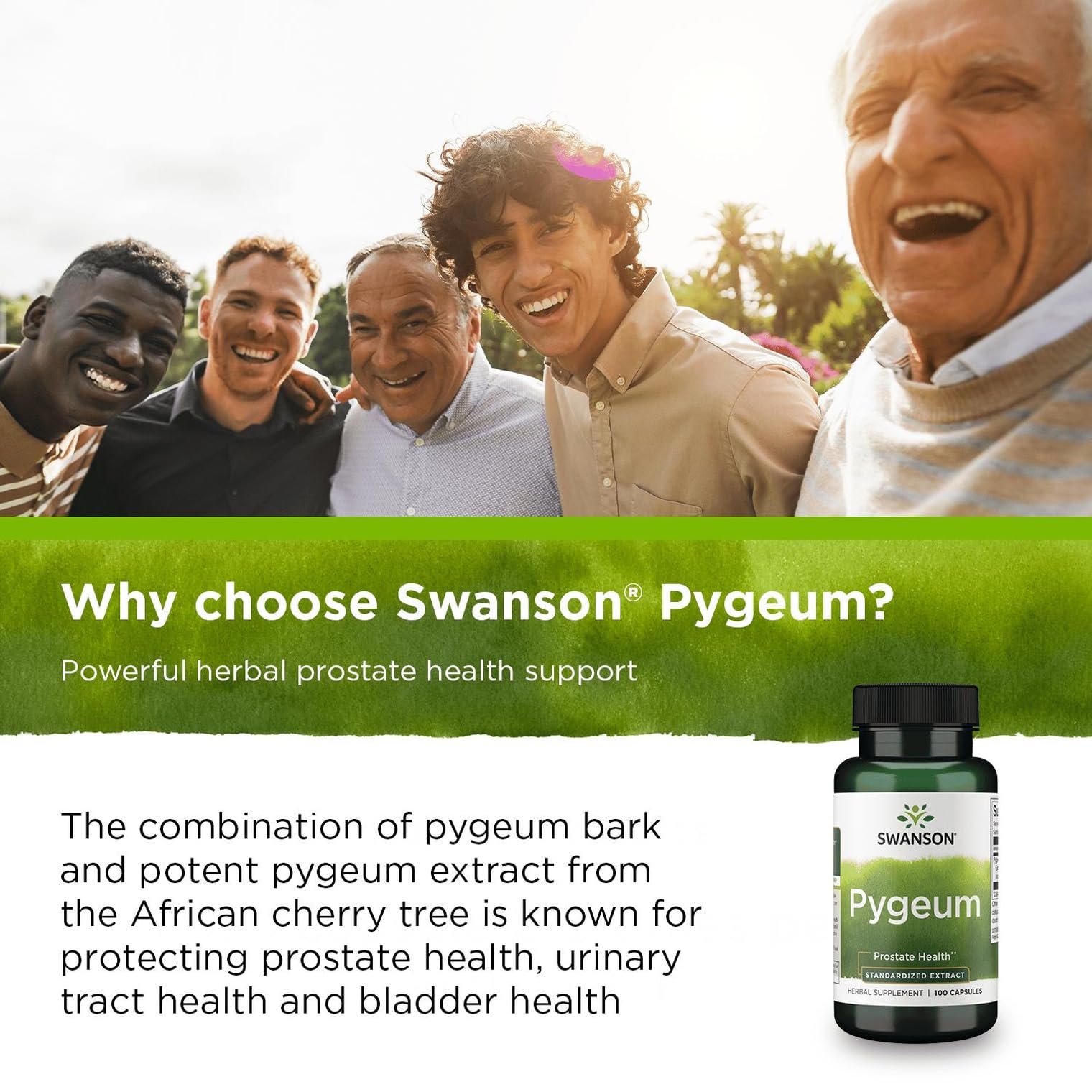 Swanson blended supplements for energy