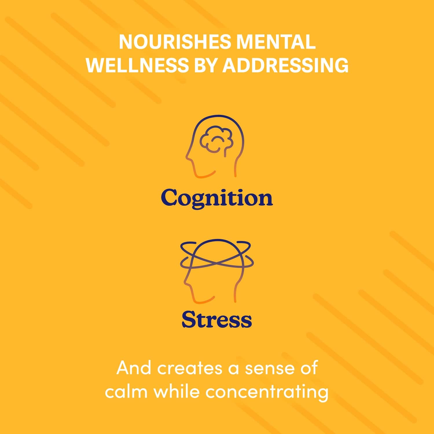 Swanson blended vitamins for stress