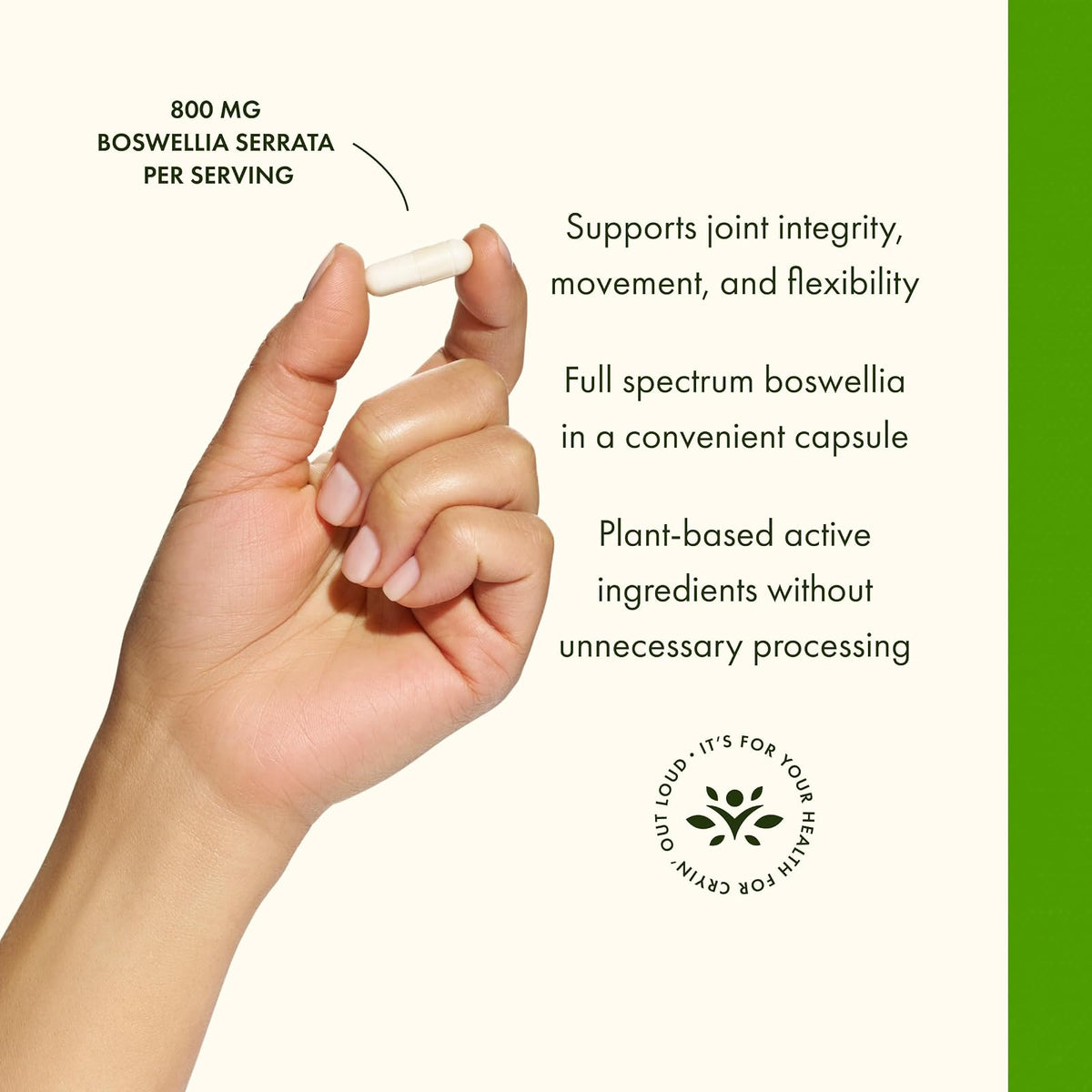Swanson Boswellia for healthy mobility