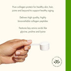 Swanson collagen powder for joint support