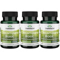Swanson echinacea root capsules for immunity