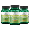 Swanson Lactobacillus Gasseri probiotics