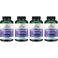 Swanson magnesium supplement for active adults