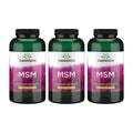 Swanson MSM joint health capsules