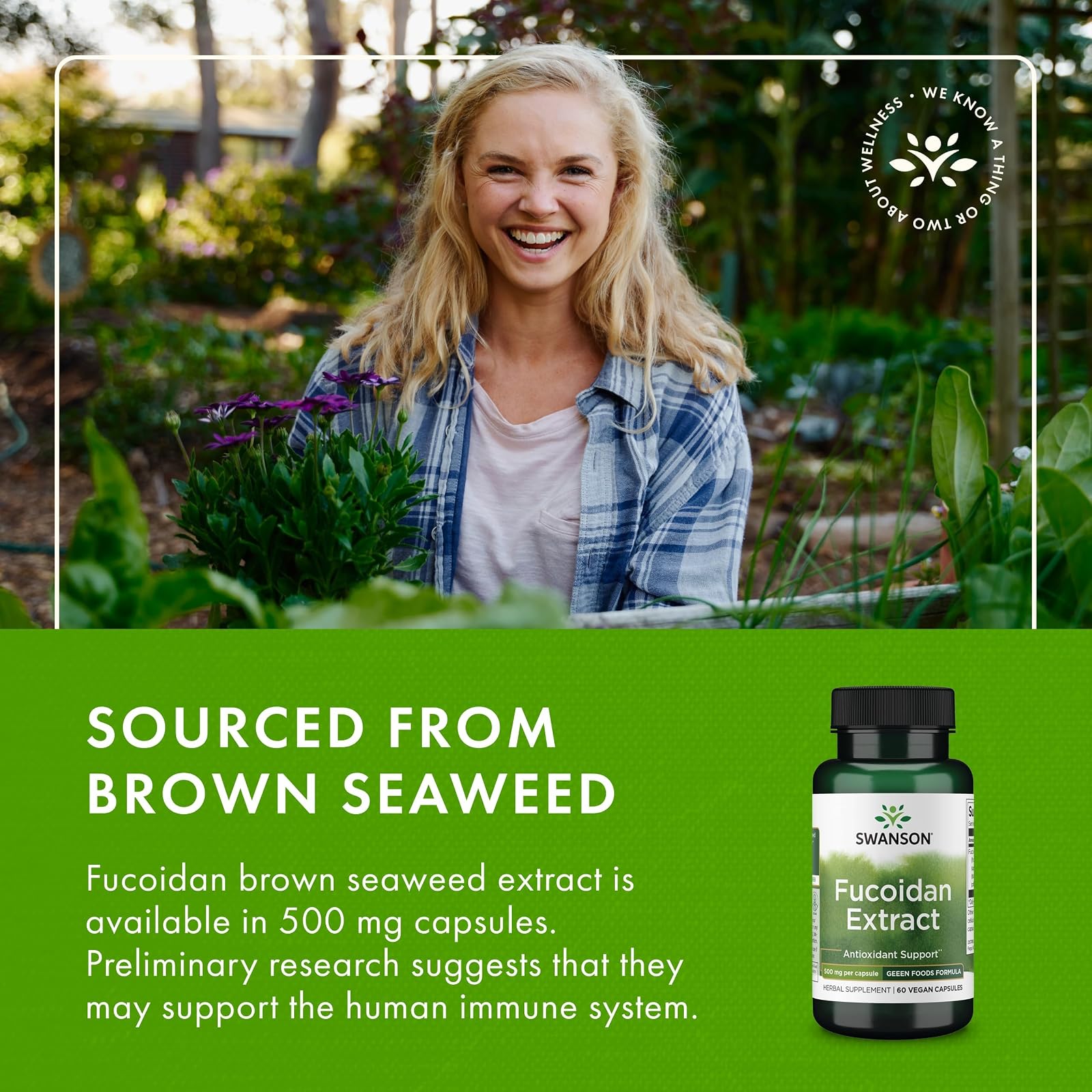 Swanson multivitamins for overall wellness
